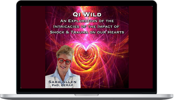 Download Sara Allen – Qi Wild – Healthcare Course